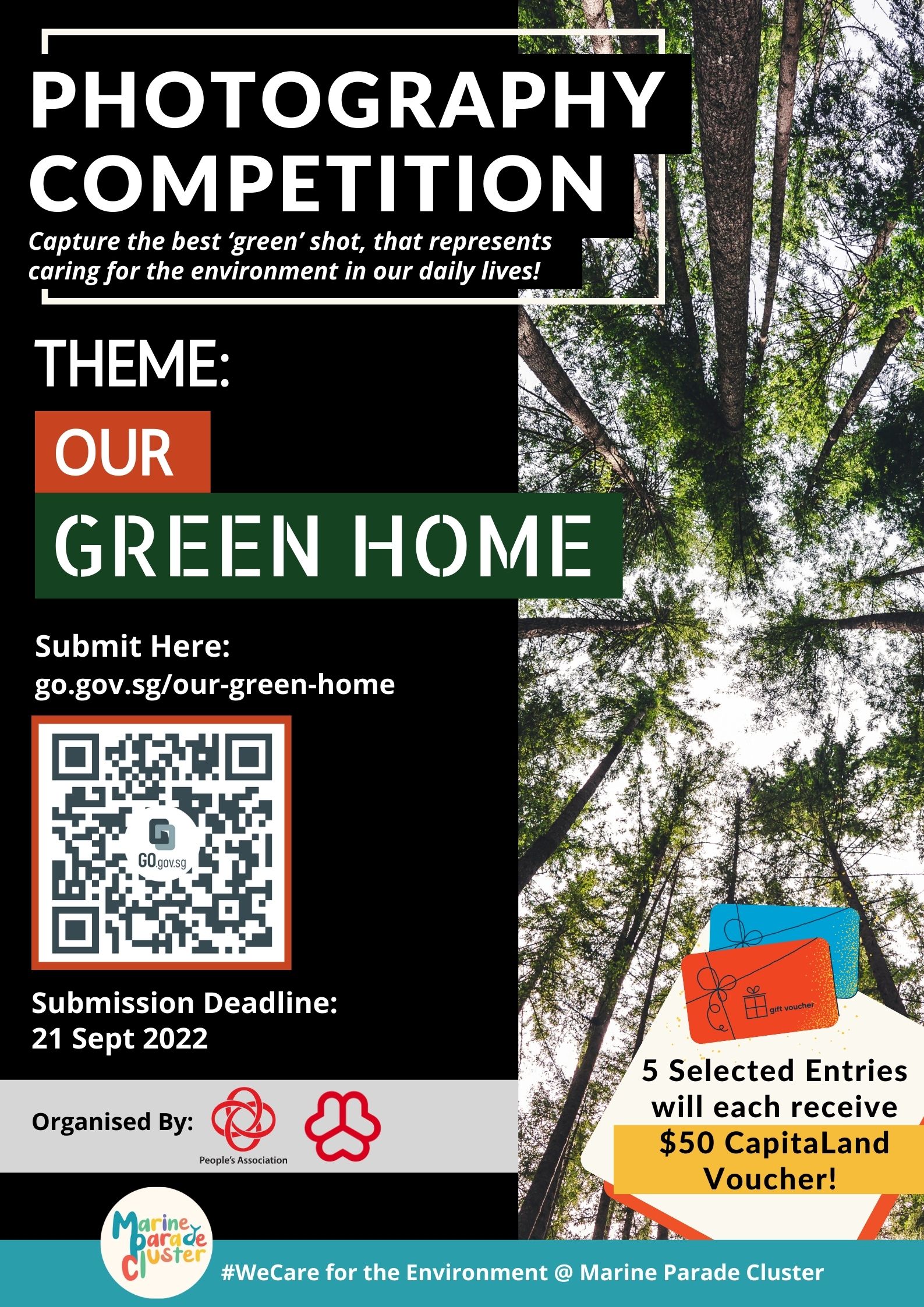 Our Green Home (Photography Competition)